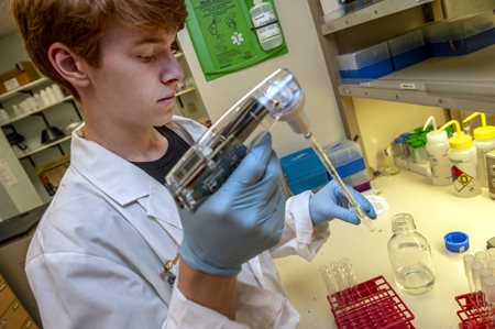 Research Rookies - College of Natural Sciences and Mathematics