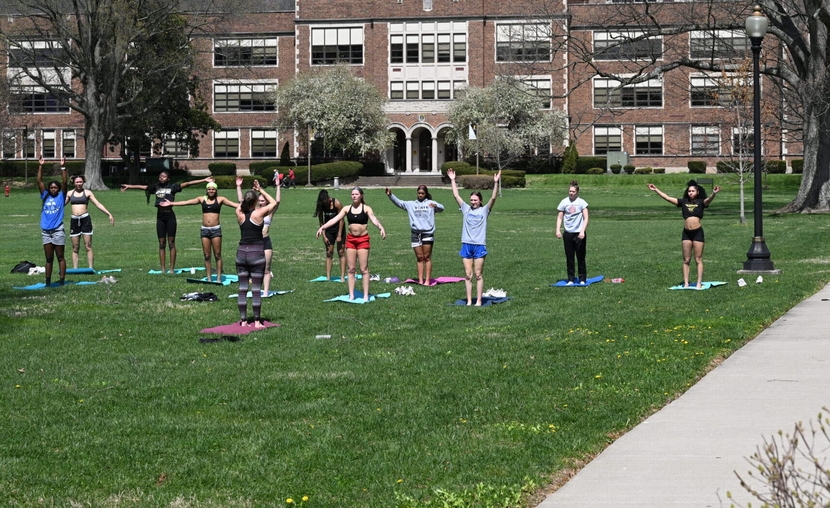 Health and Human Performance - College of Professional Studies